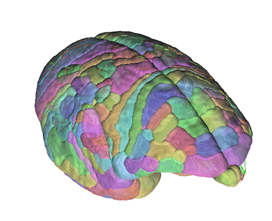 DWI Marmoset Brain Connectivity - Brain/MINDS